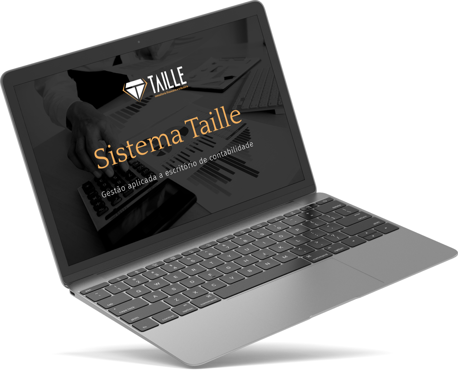 TAILLE - Consultoria Financeira e Tributária